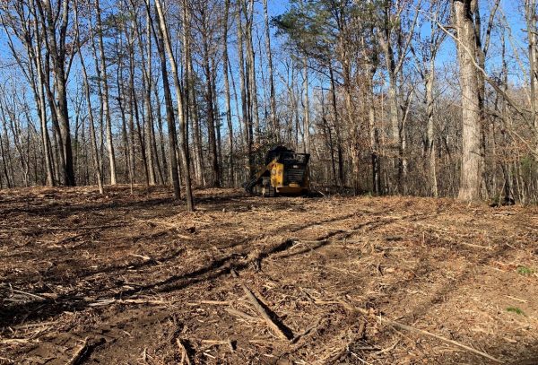 Henrico County Annual Contract for Easement Clearing – Webb Development LLC